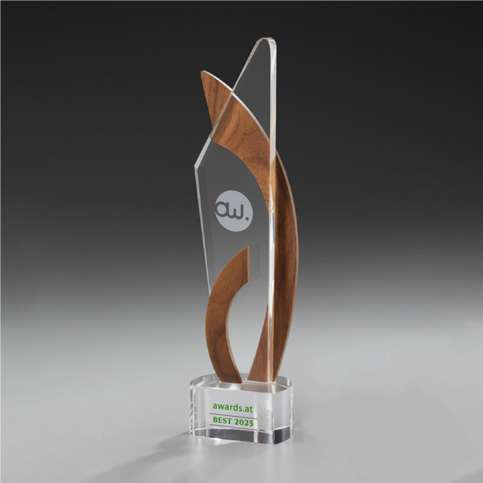 Together Award Aus Holz Und Glas